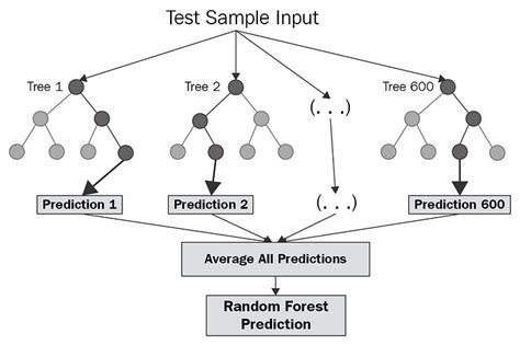 random forest dan implementasinya
