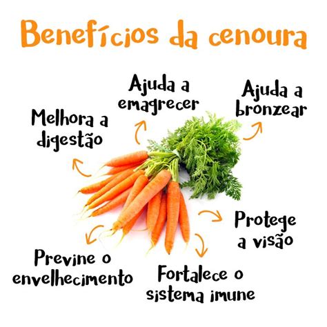 Benef Cios Da Cenoura Receitas Saud Veis Benef Cios Da