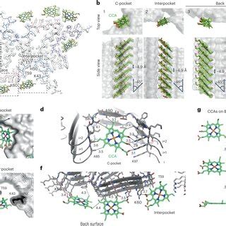 Cryo Em Structure Of The Eb Syn Fibril A Cryo Em Density Maps Of The