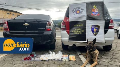 C O Farejador Ajuda A Localizar Drogas Escondidas Em Carro Cofre No