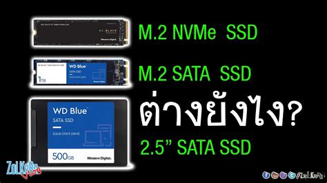 SSD แบบ M 2 NVMe กบ M 2 SATA และ 2 5 SATA ตางกนยงไง YouTube