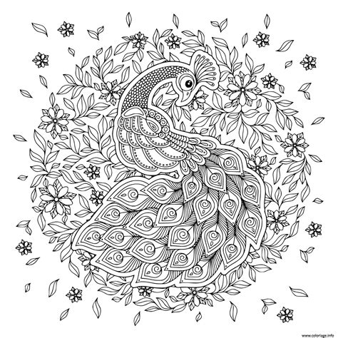 Coloriage Paon Oiseau Adulte Mandala Dessin Paon à imprimer