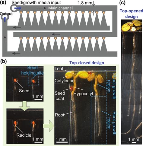 a schematic of the plant chip for high throughput plant phenotyping download scientific