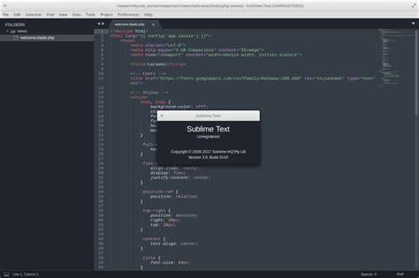 How To Install Sublime Text 3 In Linux