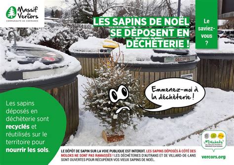 Où jeter votre sapin de Noël après les fêtes