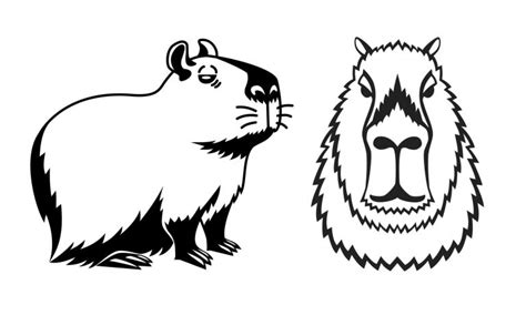 Dibujos De Carpincho Para Colorear Im Genes Para Colorear