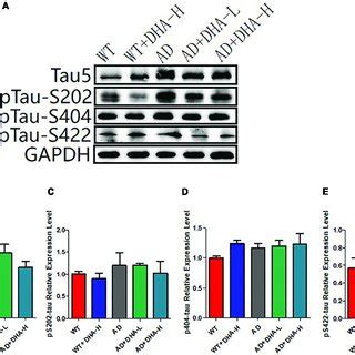 Detection Of Expression Levels Of Total Tau And Phosphorylated Tau