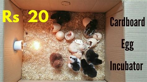 How To Make An Egg Incubator