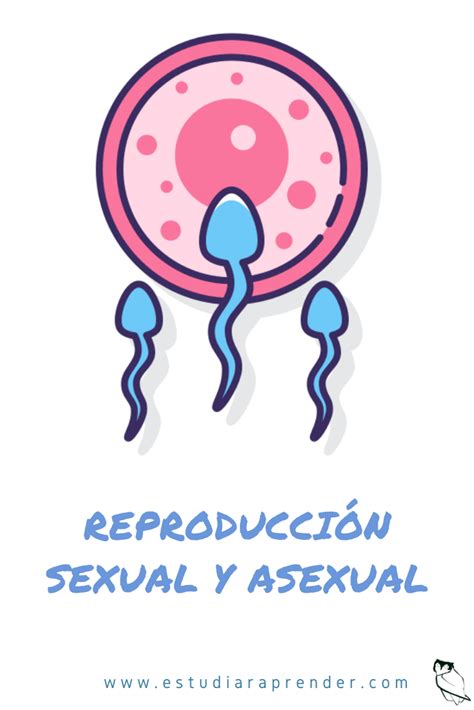 Pin en Biología Secundaria