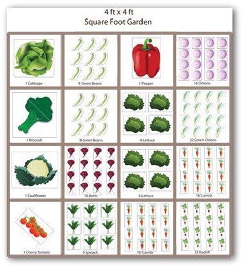25 Brilliant Vegetable Garden Layout Ideas For Beginners Garden And Happy