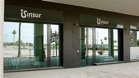 Web Grupo Insur