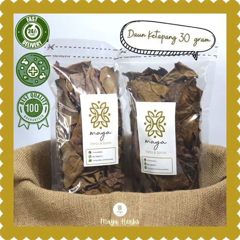 Jual Daun Cengkeh 30 Gram Daun Cengkih Syzygium Aromaticum