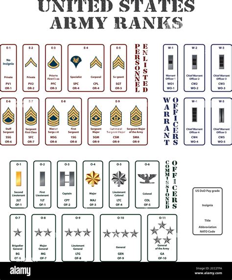 Set Of The Ranks Of The United States Army Stock Vector Image Art Alamy