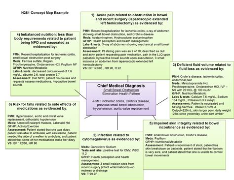 Concept Map Example 2 Identify And Develop Priority Nursing