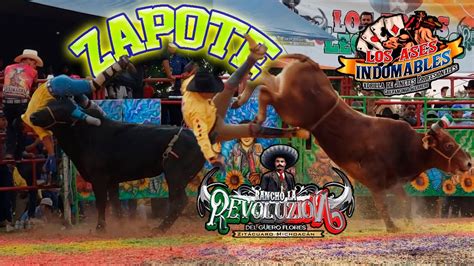 Rancho la Revolucion La ganadería sensación del momento en el Zapote