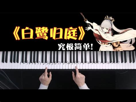 原神全网最详细的白鹭归庭钢琴简单版教学 Acordes Chordify