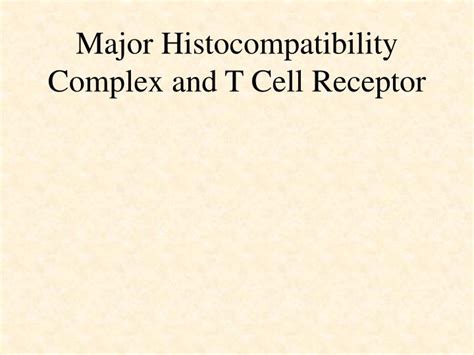 Ppt Major Histocompatibility Complex And T Cell Receptor Powerpoint