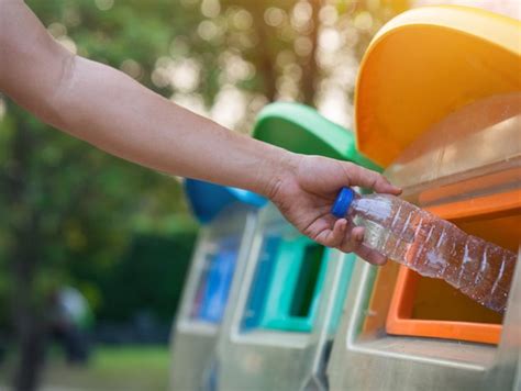 É possível calcular os danos ao meio ambiente Especialistas apontam