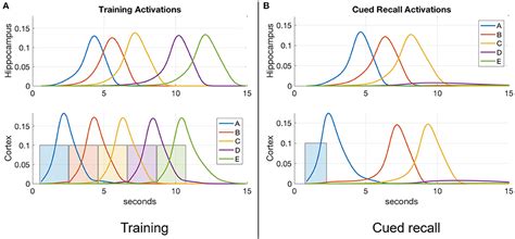 Frontiers A Model Of Bi Directional Interactions Between