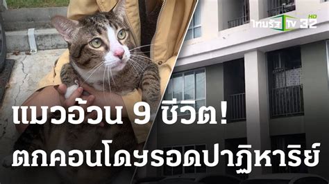 แมว 9 ชวต รวงคอนโดฯ ตกใสรถ รอดปาฏหารย 28 05 66 ไทยรฐนวส