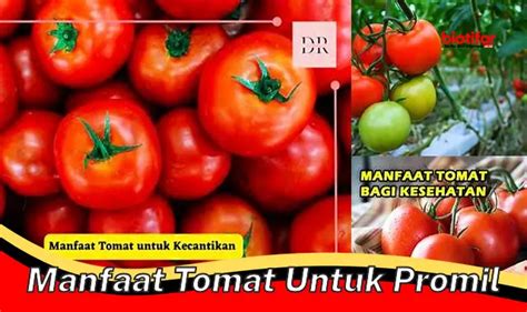 Temukan Manfaat Folavit Untuk Promil Yang Jarang Diketahui Biotifor