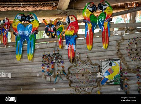 Indigenous Bora Tribe Of The Peruvian Amazon Stock Photo Alamy