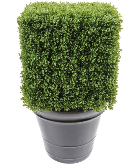 Plante Artificielle Haute Gamme Spécial Extérieur Buis Carré