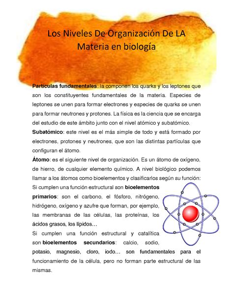 Solution Los Niveles De Organizaci N De La Materia En Biolog A Studypool