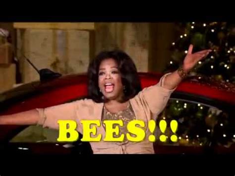 BEES Oprah S You Get A Car Know Your Meme