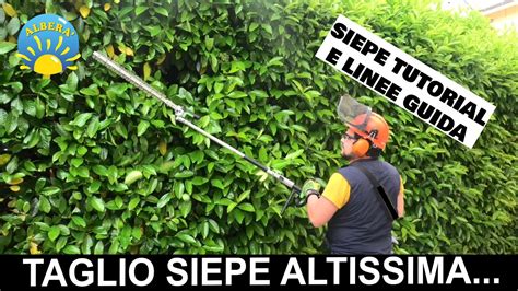 TUTORIAL POTATURA SIEPE Altissima Quasi 4 Metri PROVA PRATICA DI