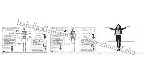 Minizestaw na temat Szkielet i mięśnie umożliwiają ruch sketchnotka