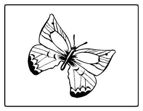 Dessins De Coloriage Papillon Imprimer Sur Laguerche Page