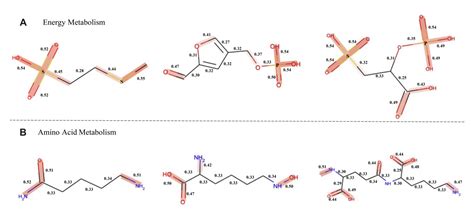 figure 1 from mlgl mp a multi label graph learning framework enhanced by pathway