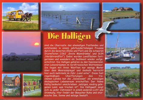 DE SH Hallig AAB 100 Drache Eis Flickr