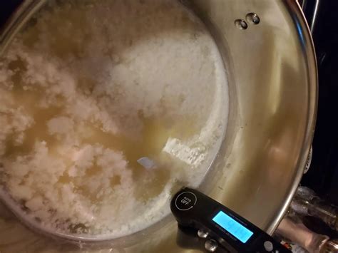 Tipos De Cuajo Para Hacer Queso Origen Animal En Polvo Y Líquido De