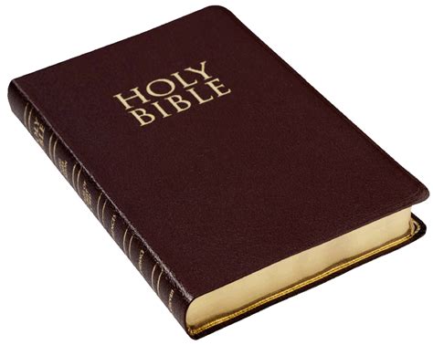Open Bible Clipart Clip Art Library 23450 The Best Porn Website
