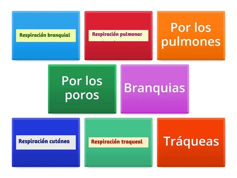 Repasemos Conceptos B Sicos Prueba Estandarizadas Ciencias