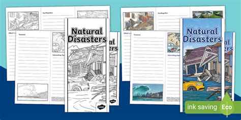 Natural Disasters Leaflet Template Teacher Made Twinkl