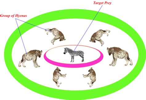 spotted hyena optimization sho algorithm mimicked from hunting behavior of hyena transpire