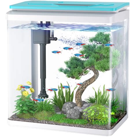 PONDON 3 Gallon Fish Tank Glass Aquarium Tank With With Thermometer