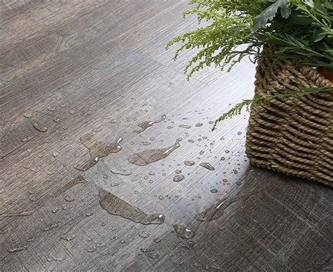 Spc Rigid Core Floor Click 8mm European White Oak Engineered Hard Wood