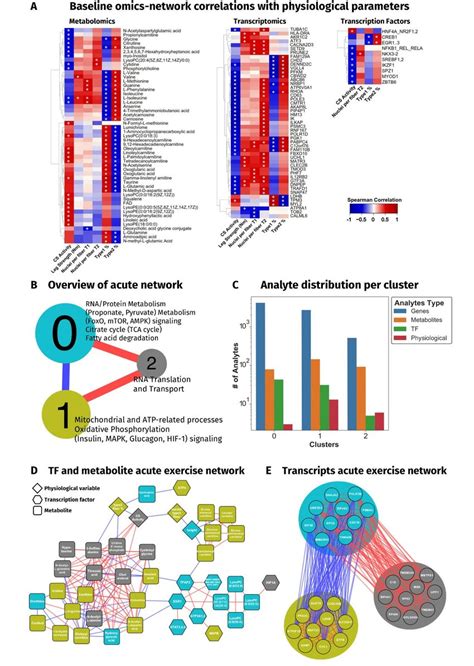 Omics Network Overview And Highlights A Baseline Omics Network