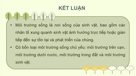 Tải giáo án Powerpoint KHTN 8 KNTT Bài 41 Môi trường và các nhân tố