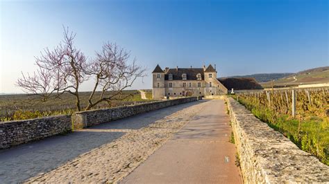 Château de La Tour wine producer in Vougeot Burgundy
