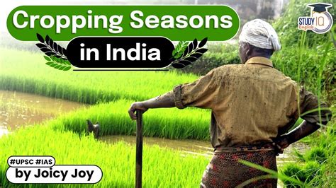 What Are Cropping Seasons Cropping Patterns In India India S