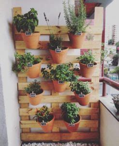 Horta Vertical Inspira Es E Dicas Para Voc Fazer A Sua