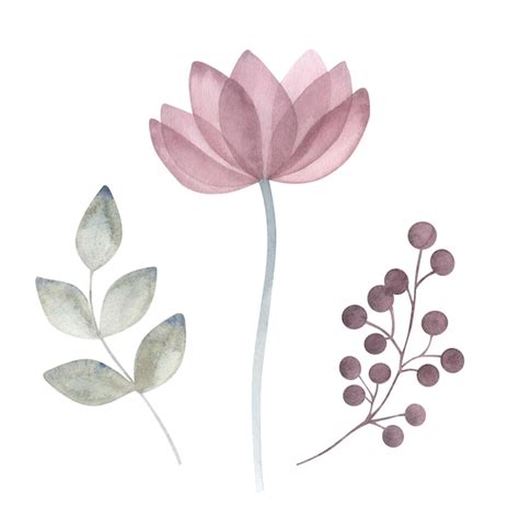 Hojas De Flores Transparentes De Acuarela Colores Pastel Florales