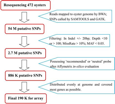 flow diagram for the snp selection steps with major criteria download scientific diagram