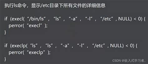 嵌入式（exec函数族和守护进程） execstart中嵌入命令 csdn博客
