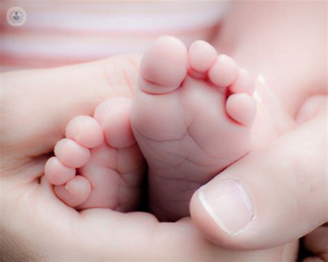 Preguntas Frecuentes Sobre La Inseminaci N Artificial Top Doctors